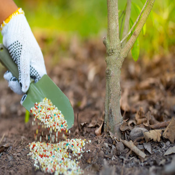 Manufacturing Nitrogen Fertilizers from Natural Gas - الهيئة العامة ...